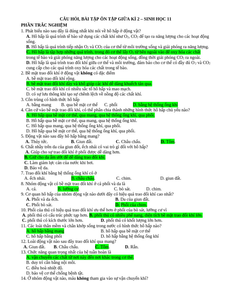 2122. GK2.ĐỀ CƯƠNG 11 | PDF