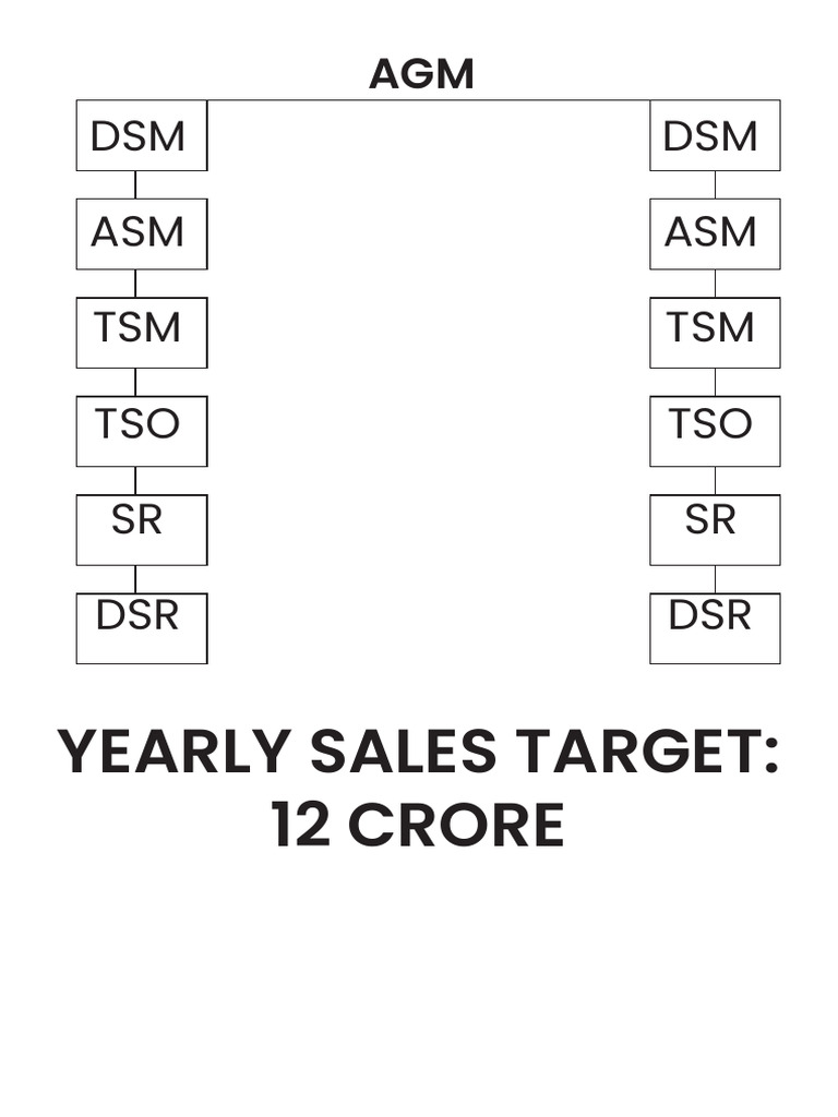 DSM DSM ASM ASM TSM TSM TSO TSO SR SR DSR DSR: Yearly Sales Target: 12 Crore | PDF