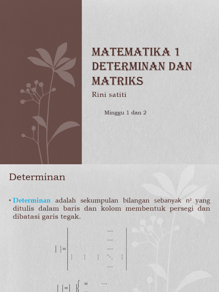 Minggu 1-2 Determinan Dan Matrik | PDF