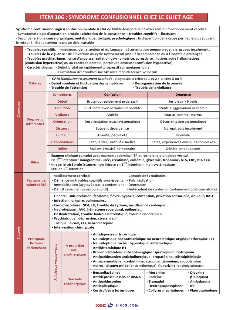 ITEM 106 - CONFUSION SUJET AGE | PDF