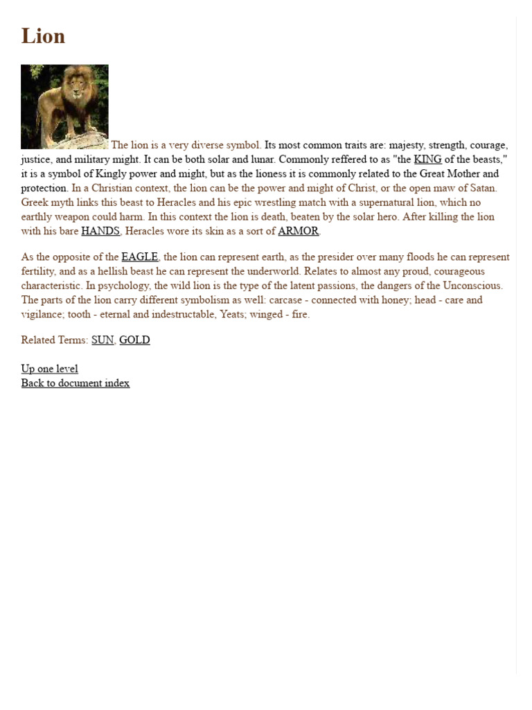 Lion | PDF