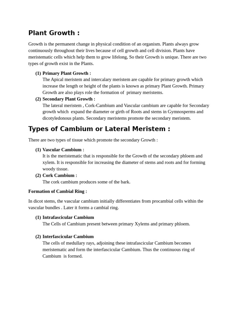 Vascular Cambium | PDF