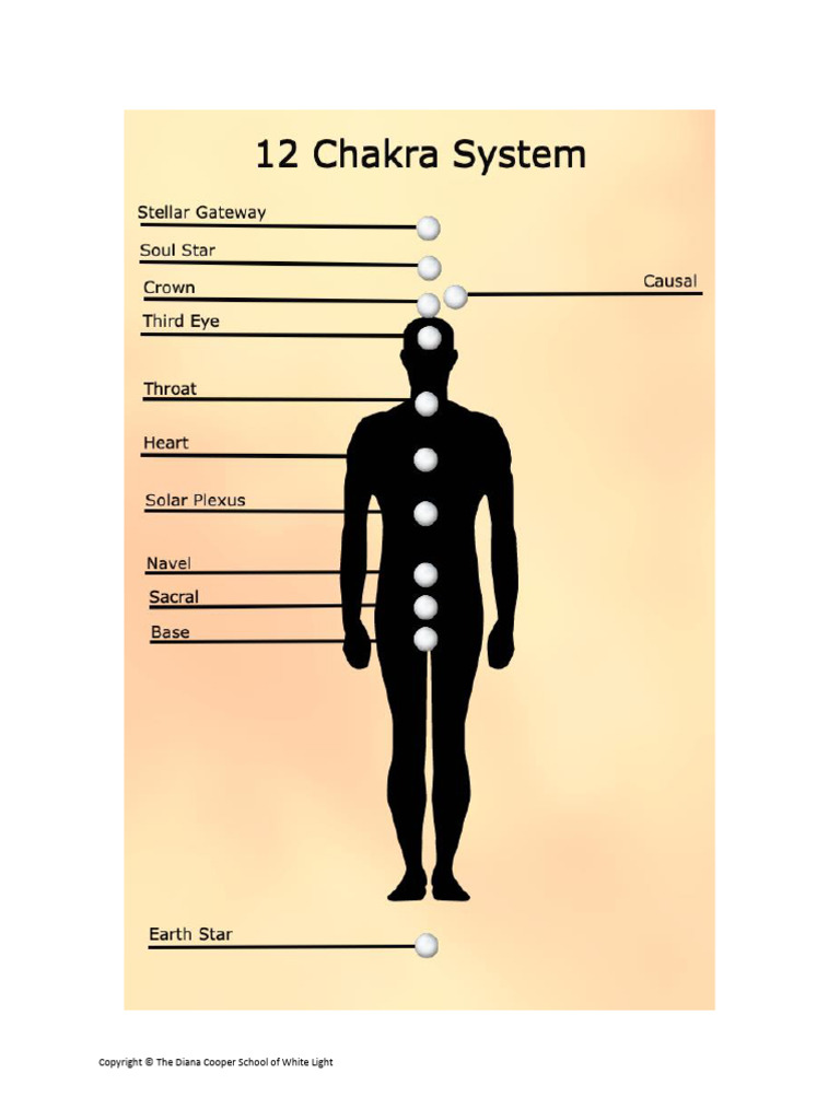 12 Chakra System | PDF