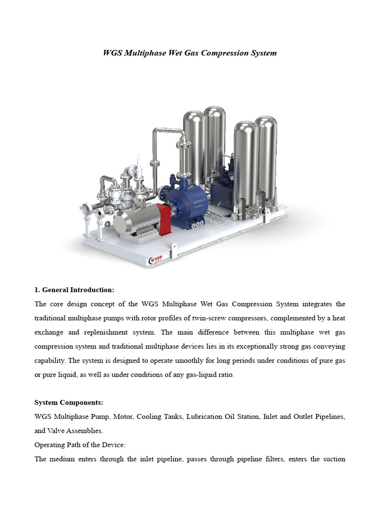 WGS Multiphase Wet Gas Compression System(English) | PDF