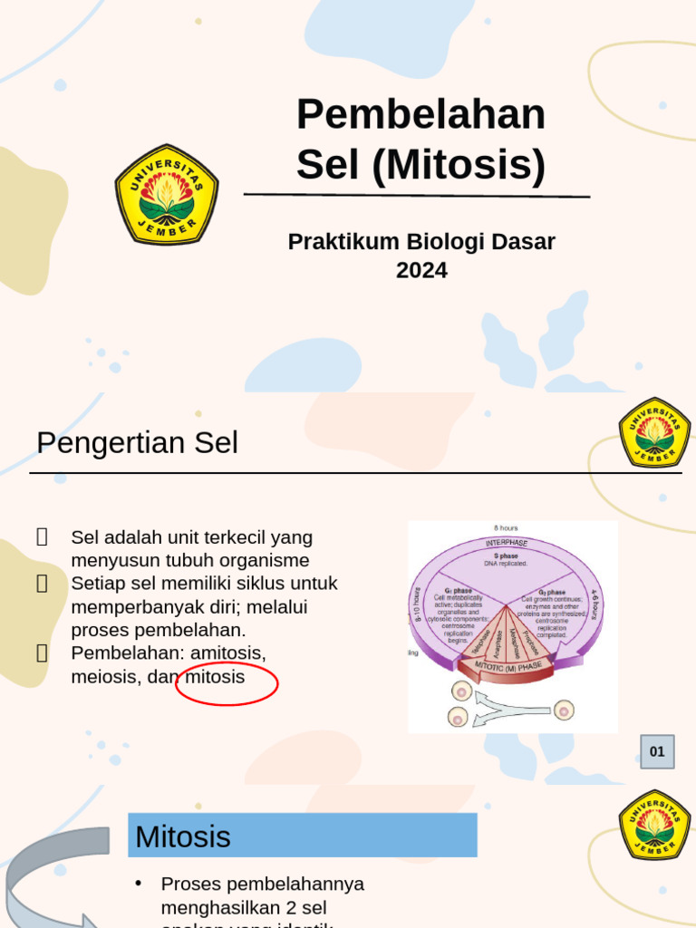 4.2 - PPT Pembelahan Sel | PDF