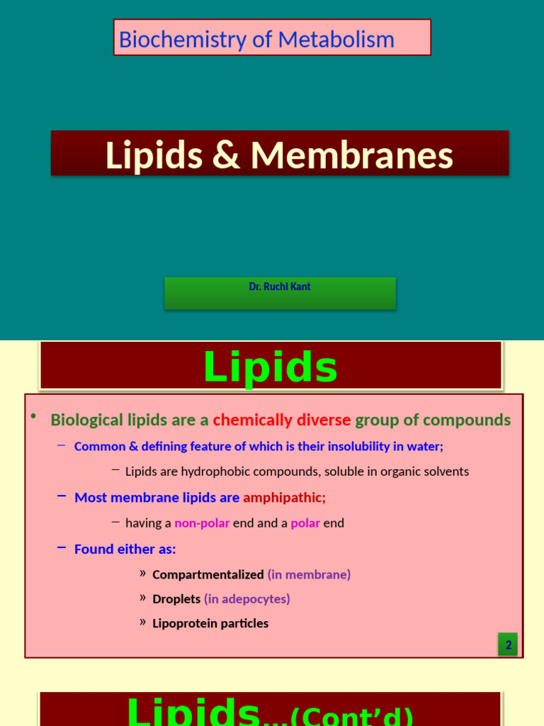 #7 Lipid Chem. 31p | PDF