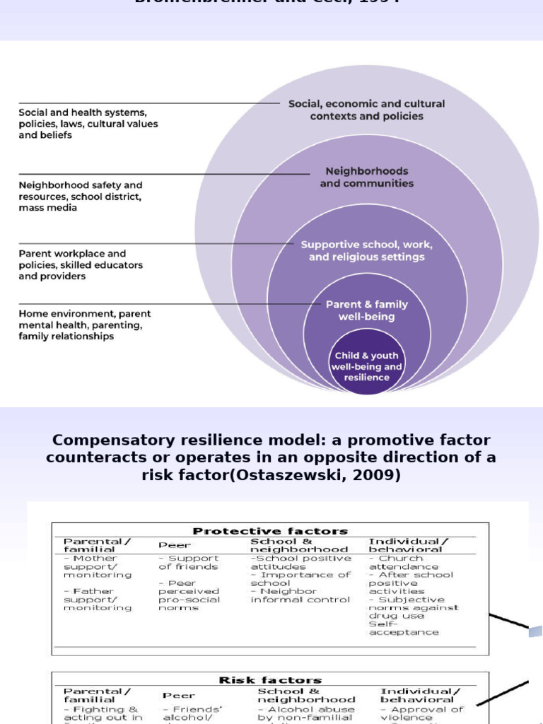 Resilience Models | PDF