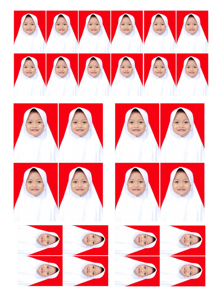 Pas Photo | PDF