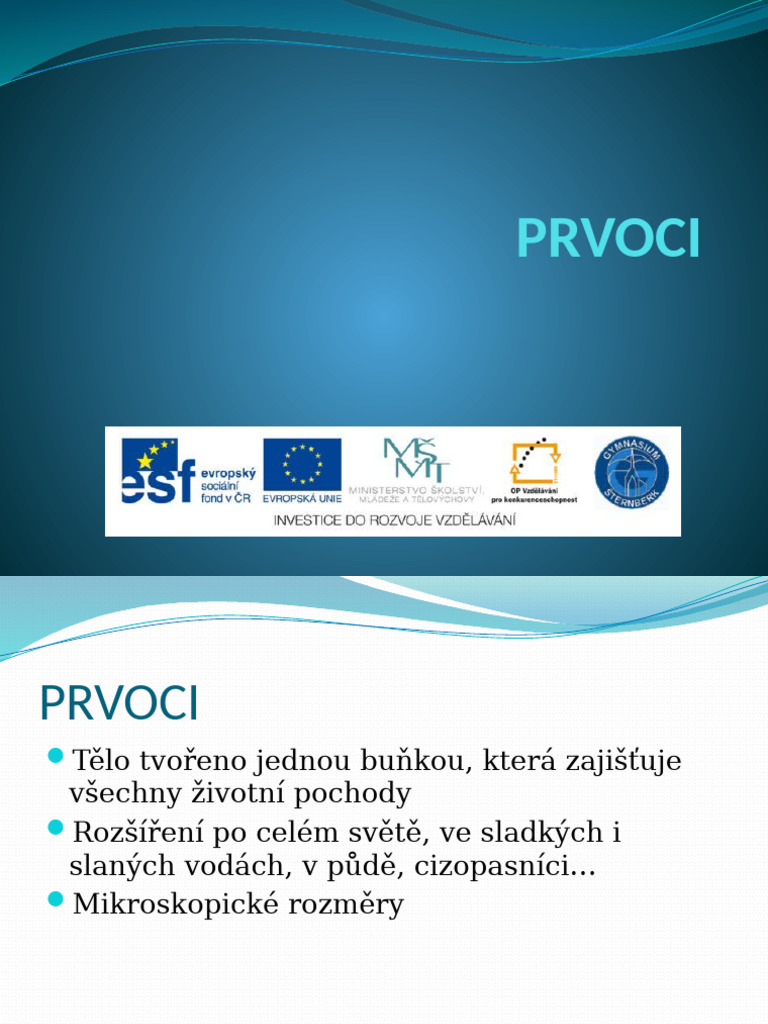 PRVOCI | PDF