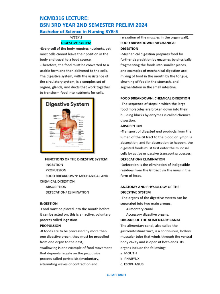 Digestive - Syste Ms 2 | PDF