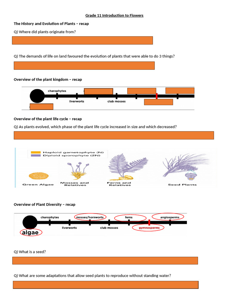 Grade 11 Introduction to Flowers | PDF