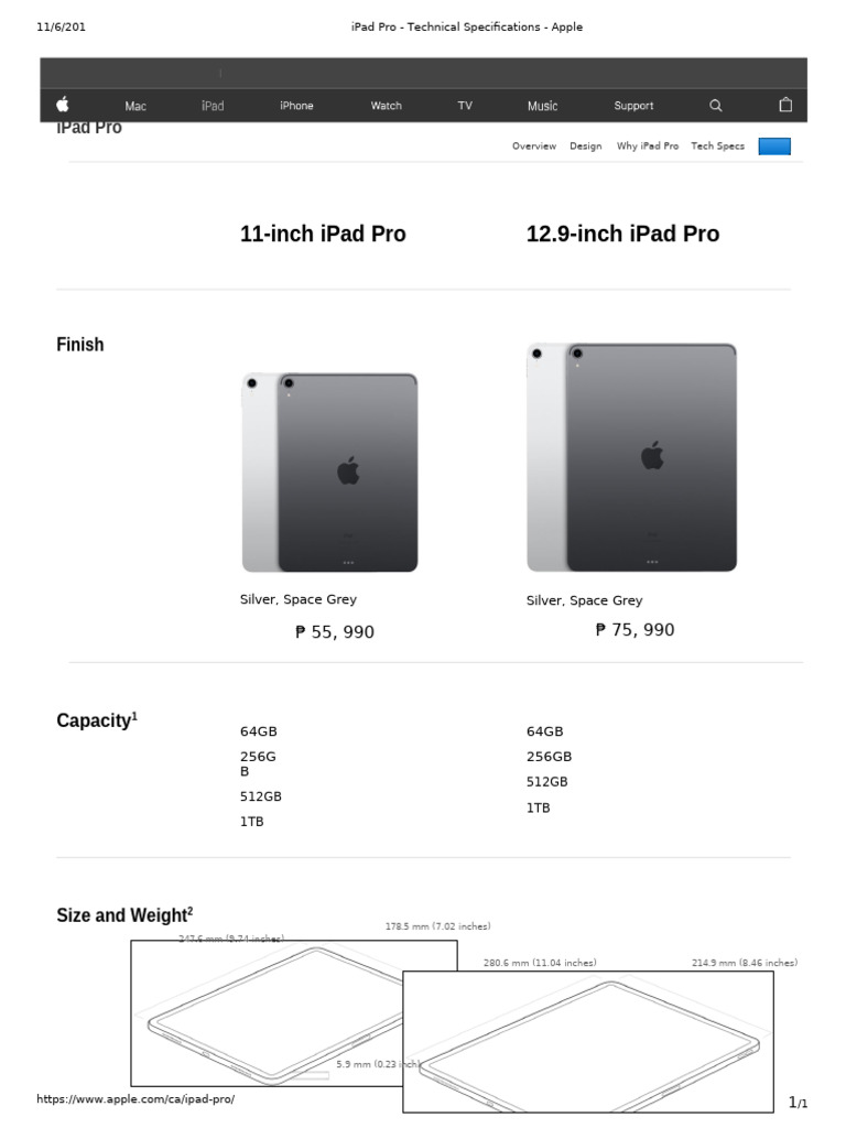 Ipad Pro 11 and 12 | PDF