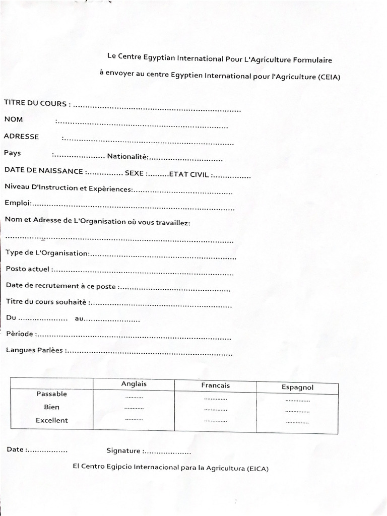 Formulaire Egypte | PDF