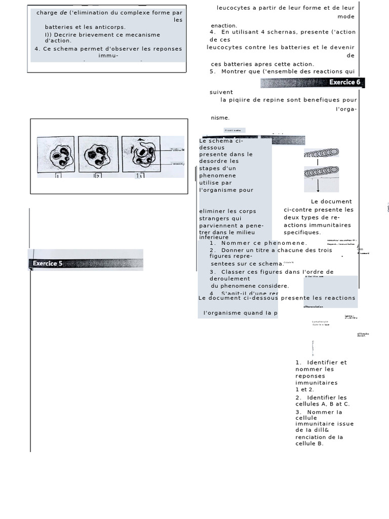 20240923_093623 | PDF