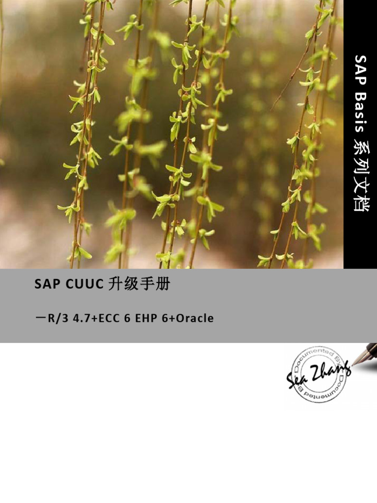 SAP Basis系列文档 - SAP CUUC升级手册 | PDF