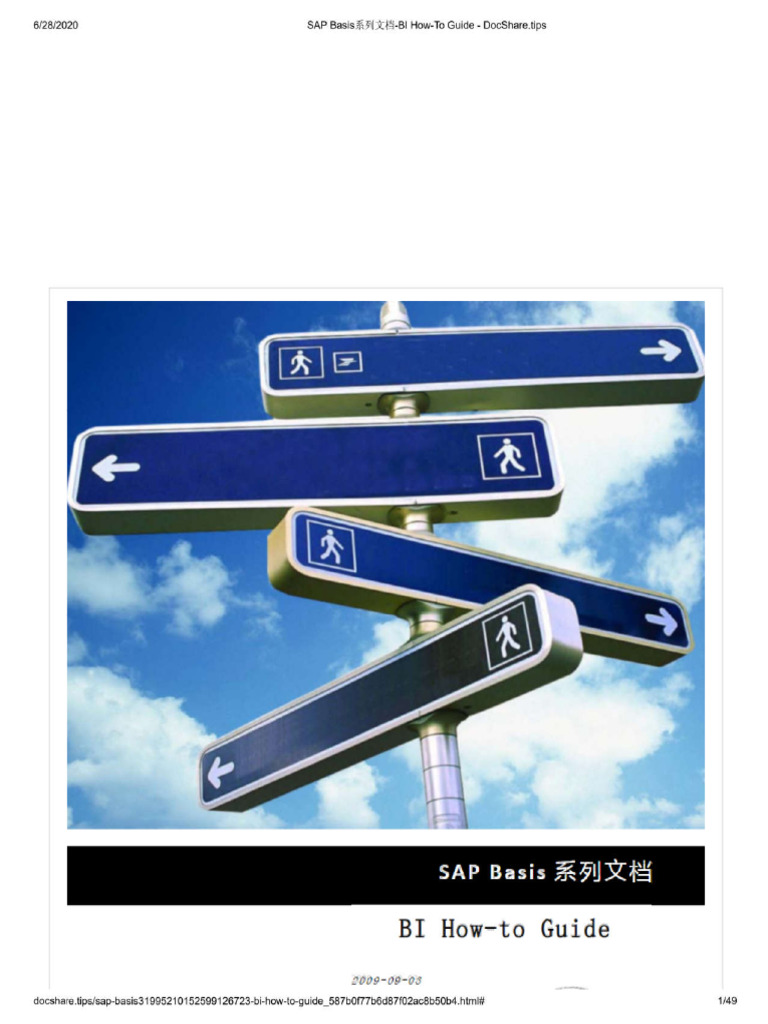 SAP Basis系列文档-BI How-To Guide - DocShare.tips | PDF