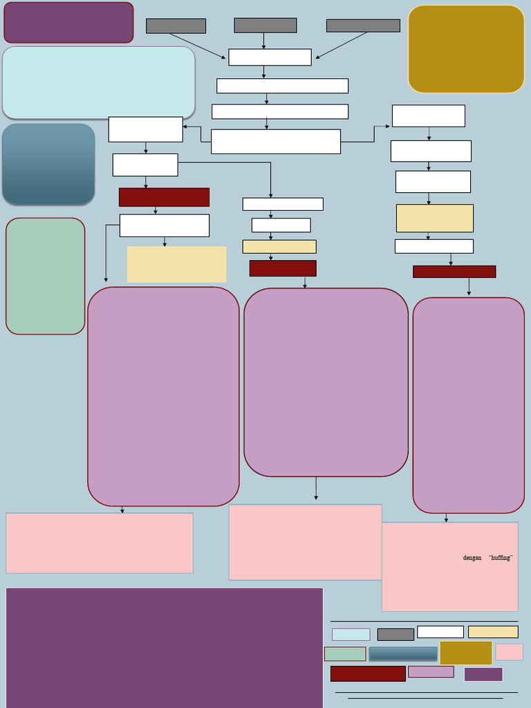 WOC Atrial Septal Defect (Ads) Kel 3 | PDF