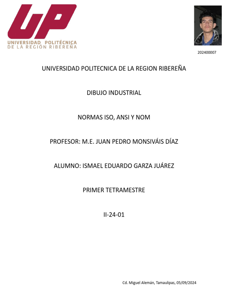 202400007-Normas Iso, Ansi y Nom | PDF