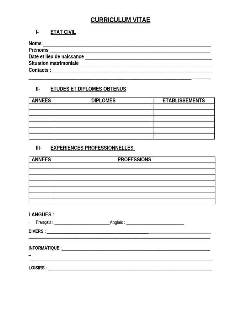 Curriculum Vitae Vide A Remplir 4 | PDF
