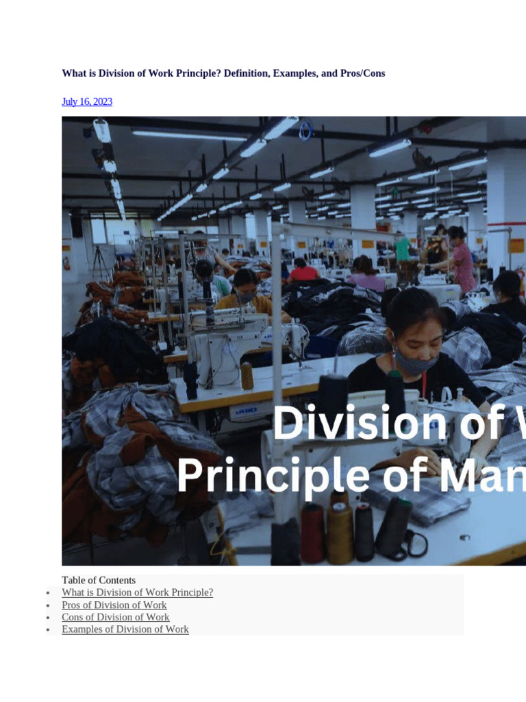What Is Division of Work Principle | PDF