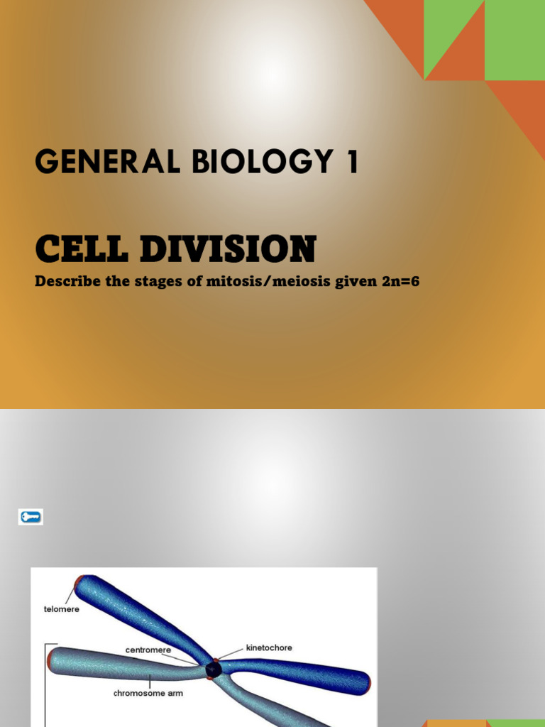 Week-5-6-Cell-Division-Mitosis-and-Meiosis | PDF