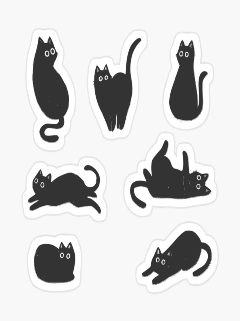 Cats | PDF