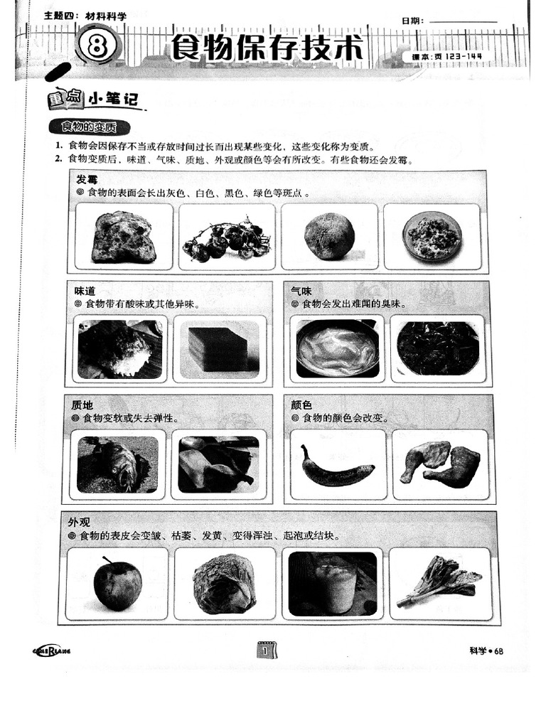 2024 Y6 SN Ab Unit 8 | PDF