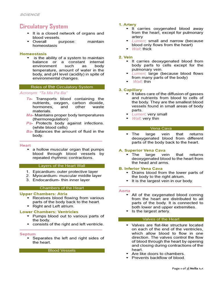 Science 1st Quarter Exam | PDF