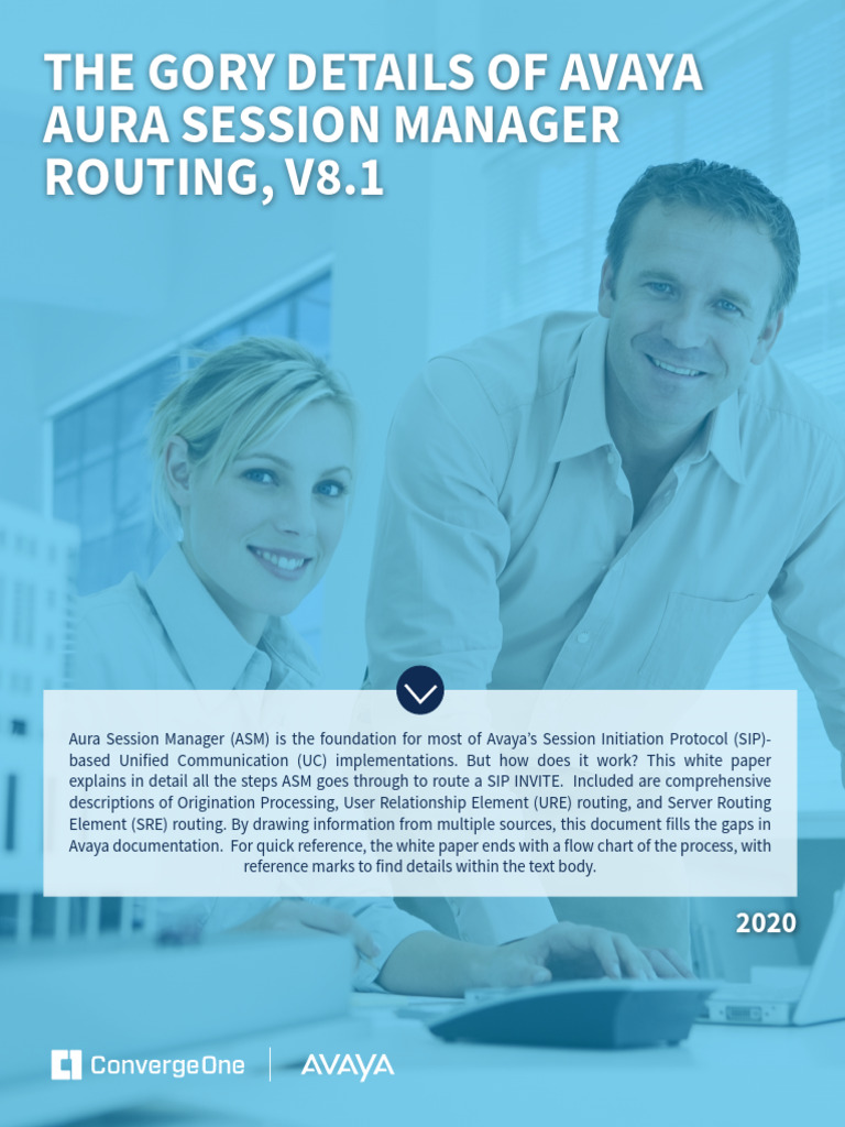 The Gory Details of Avaya Session Manager Routing 8_1 (2) | PDF