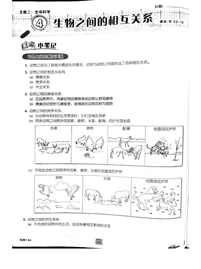 2024 Y6 SN Ab Unit 4 | PDF