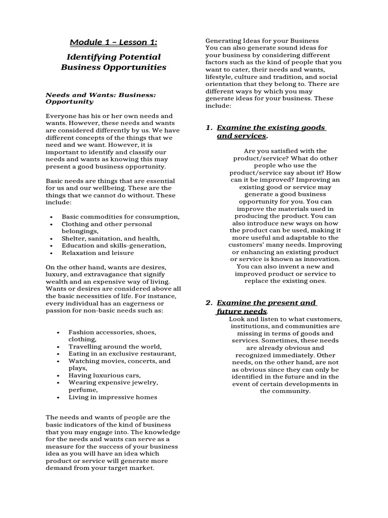 Identifying Potential Business Opportunities: Module 1 - Lesson 1 | PDF