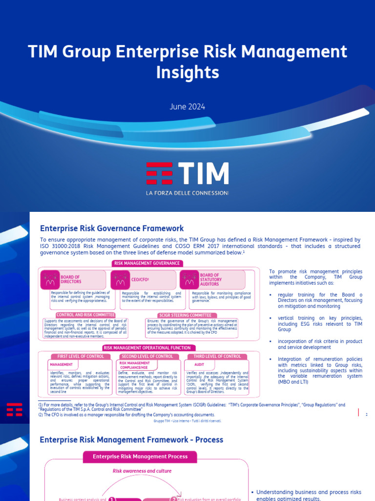 TIM Group ERM | PDF