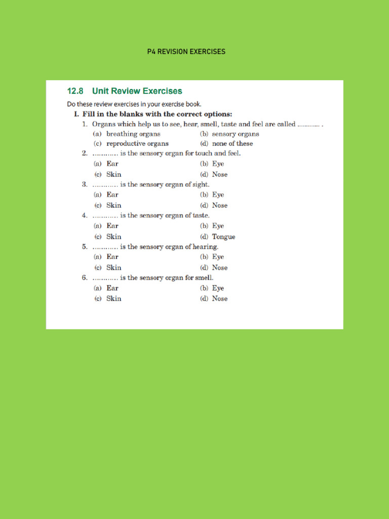 p4 Revision Exercises | PDF