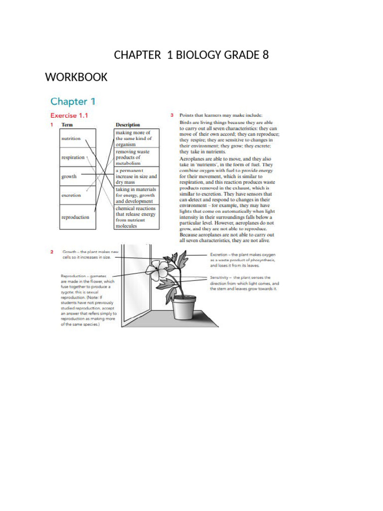 Chapter 1 Biology Grade 8 | PDF