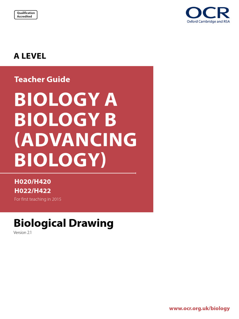 Biology Drawing Skills Handbook | PDF