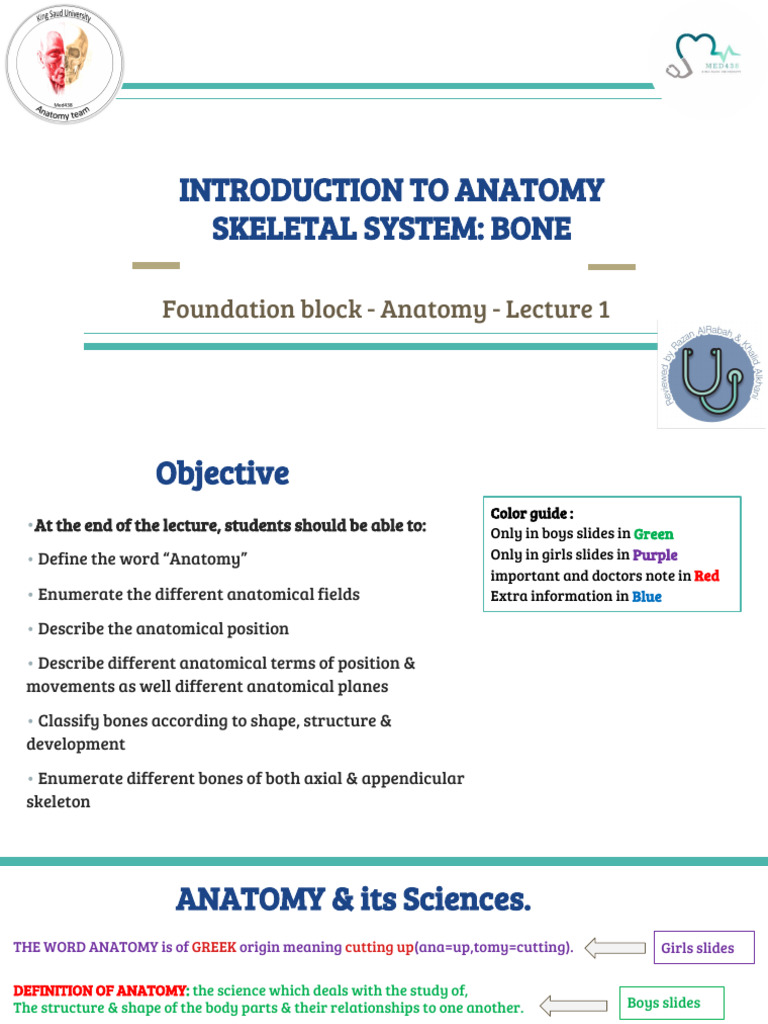 Lecture (1) Introduction To Anatomy Skeletal System - Bone | PDF