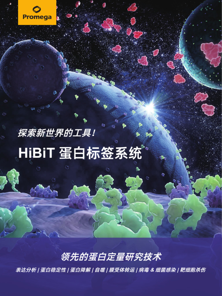 HiBiT蛋白标签系统-中文版技术手册 20220505094425 5291 | PDF