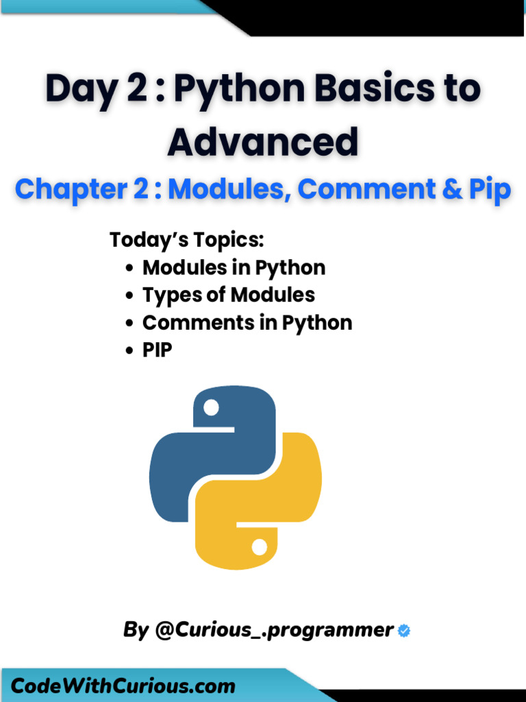 Day 2 Python Basic To Advanced Modules, Comments & Pip | PDF