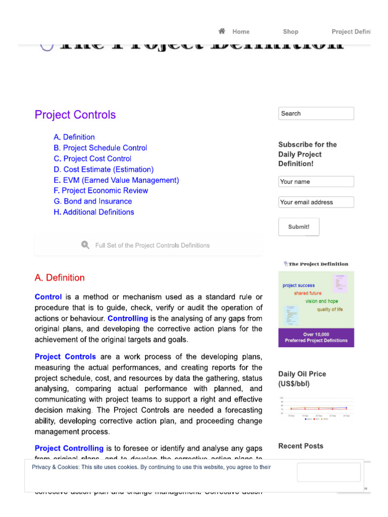 01- Project Controls | PDF