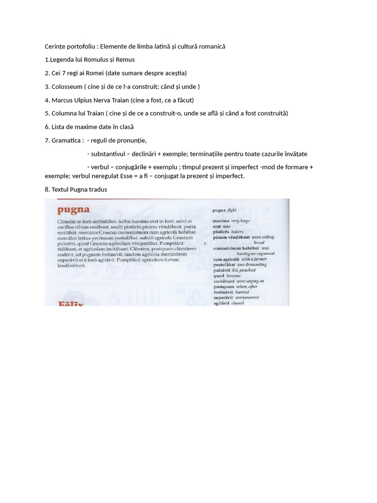 Cerinte Portofoliu | PDF