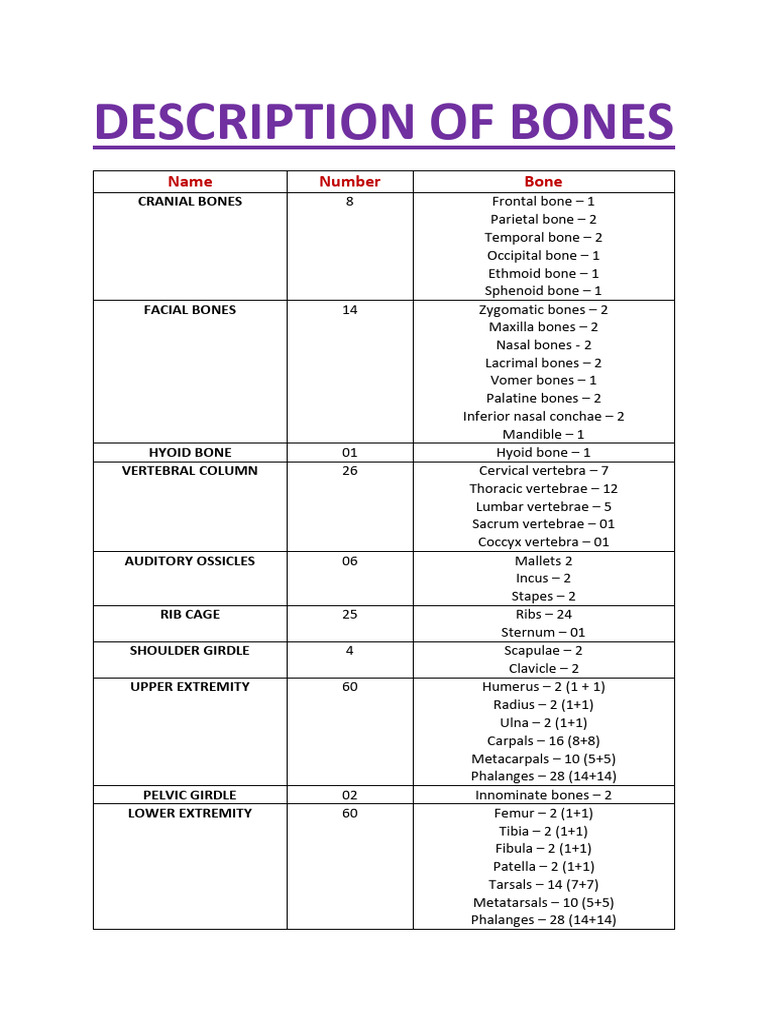 Description of Bones | PDF