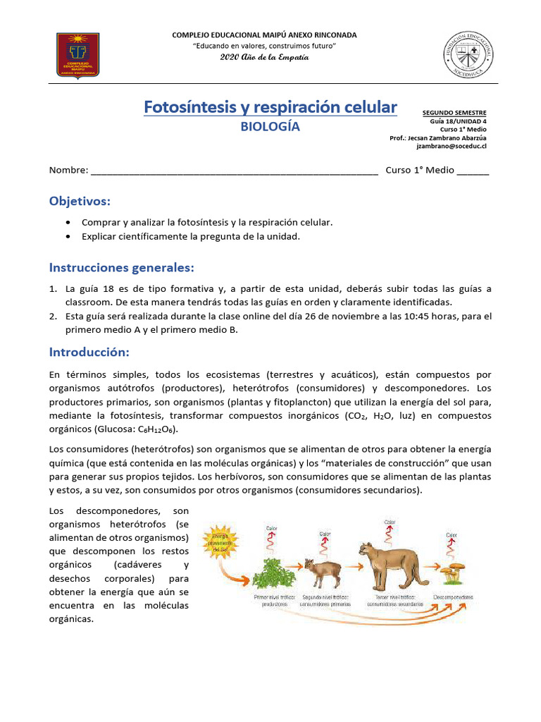 Fotosintesis y Respiracion Celular | PDF | Plantas | Fotosíntesis