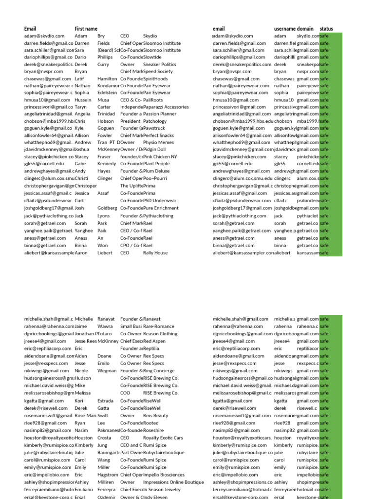 Safe Ecom leads (copy of 16) | PDF