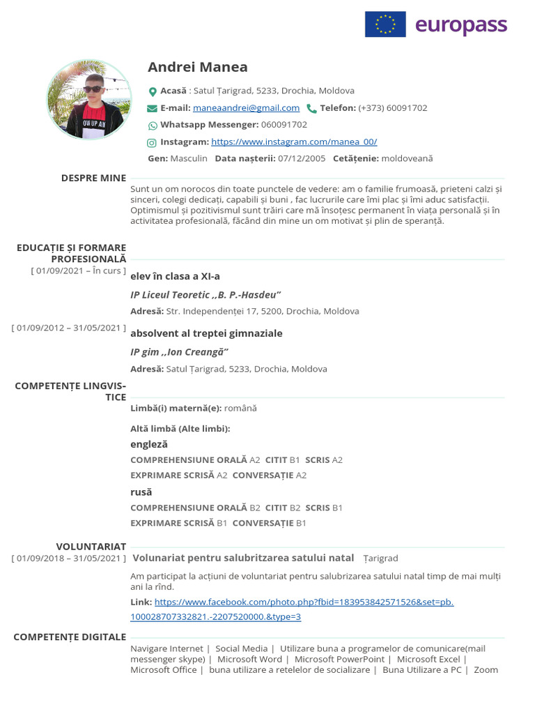 CV - Andrei Manea | PDF