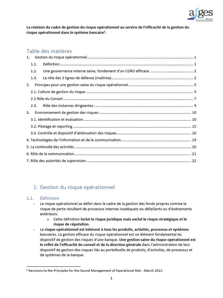 Les Principes de Gestion Du Risque Operationnel | PDF
