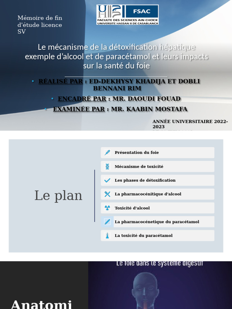 Presentation PFE Le Mécanisme de La Détoxification Hépatique | PDF