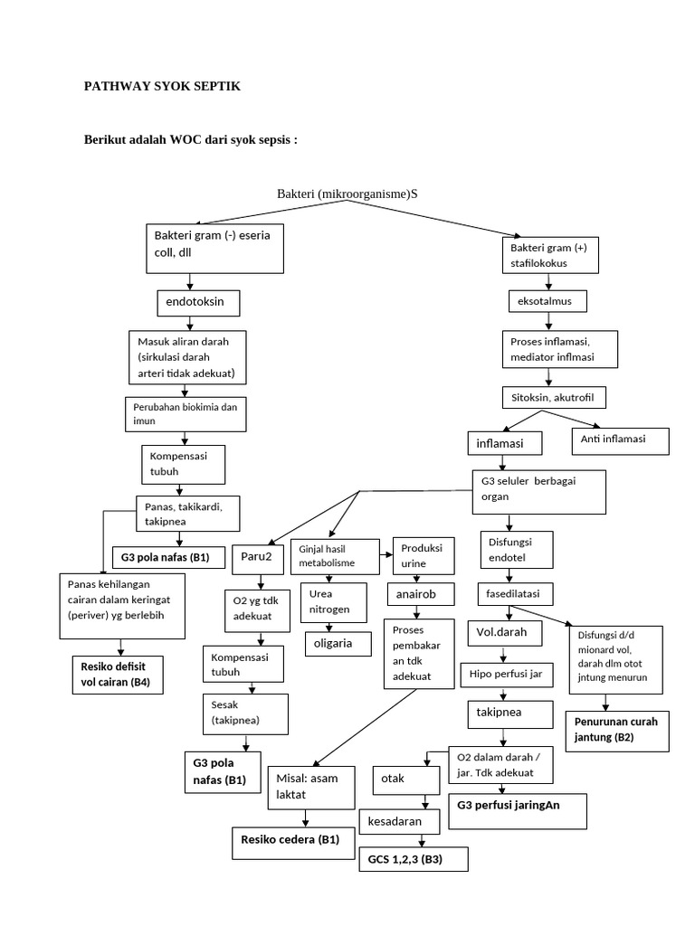woc SYOK SEPTIK | PDF