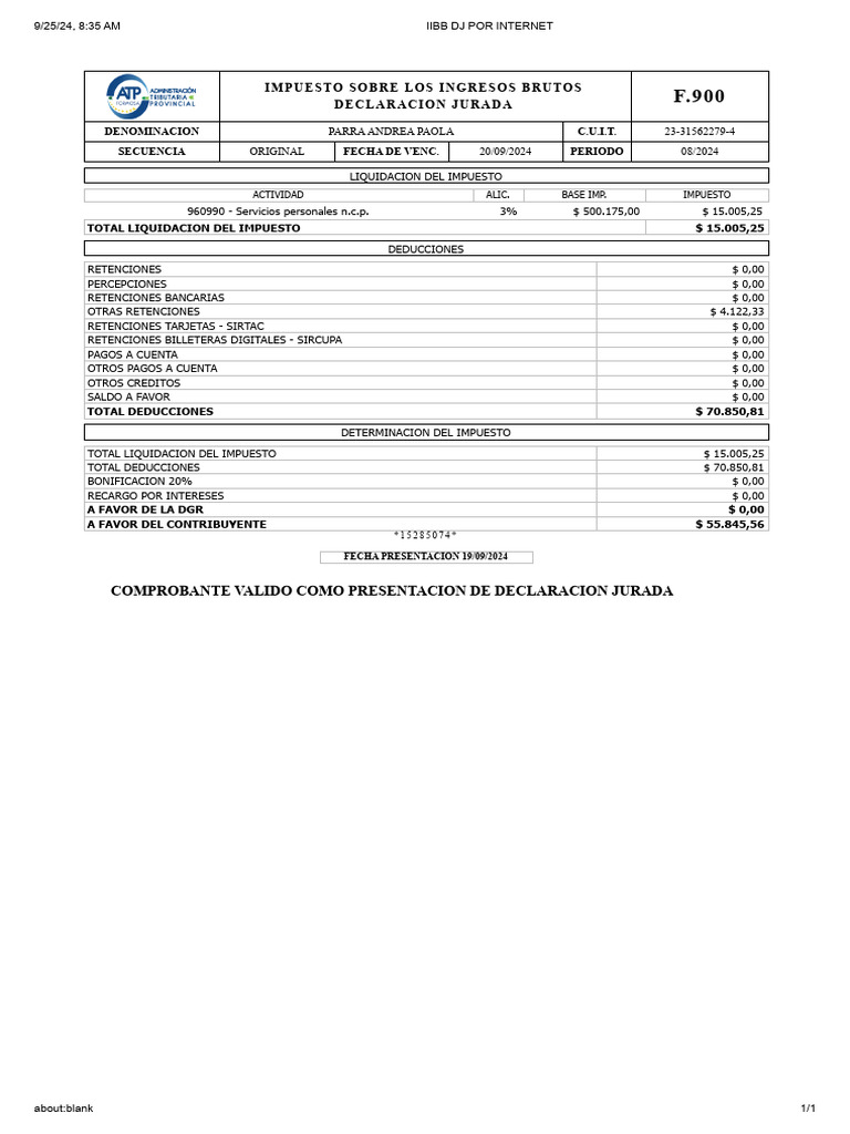 Iibb DJ Por Internet | PDF | Pagos | Tecnología bancaria