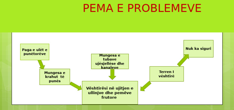 Pema e Problemeve 2 | PDF