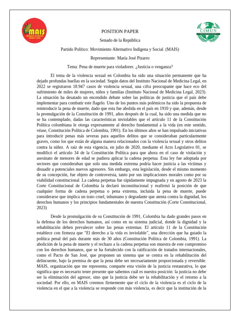 Position Paper | PDF